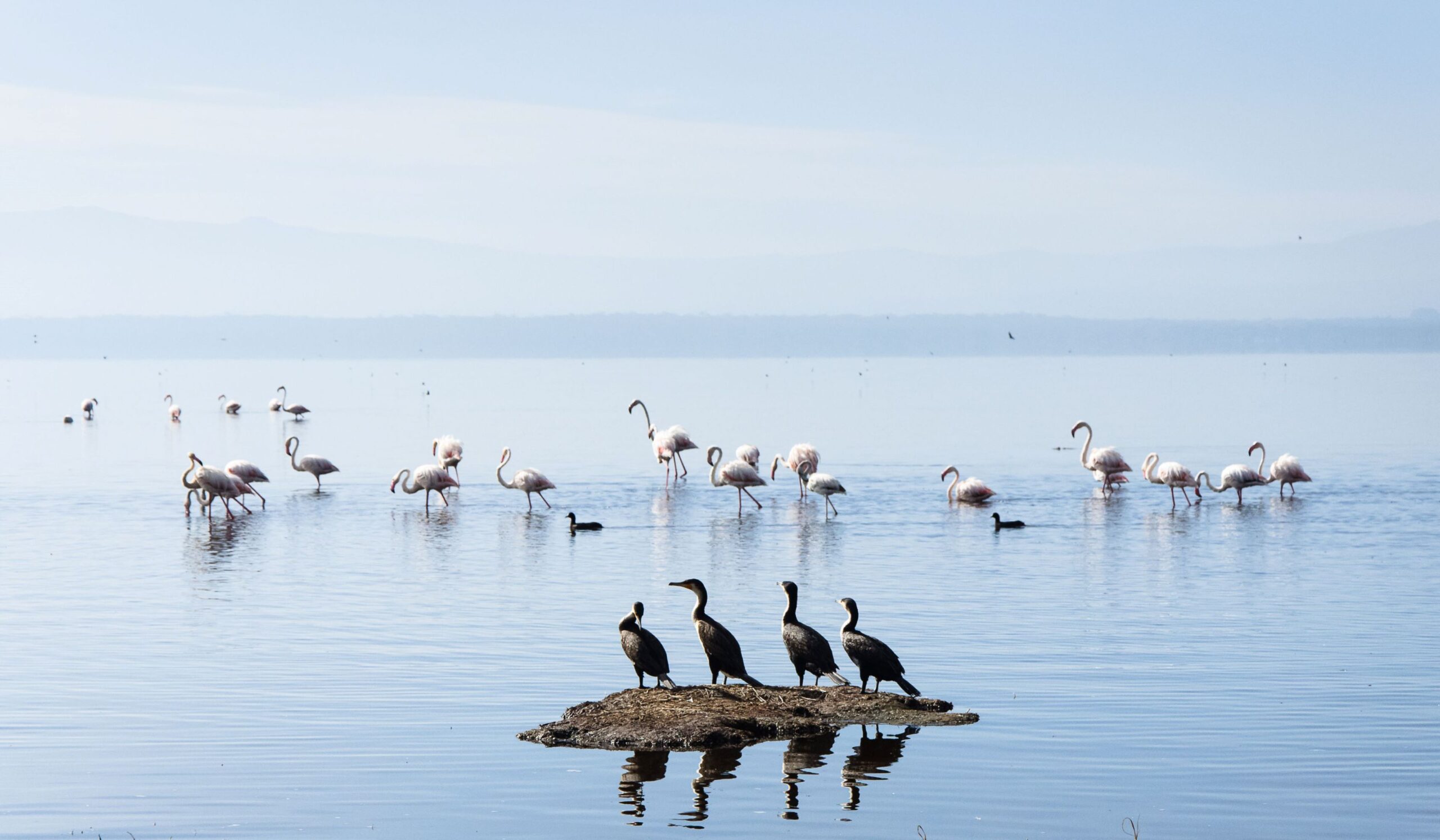 Parc national du lac Nakuru - Safari en Afrique