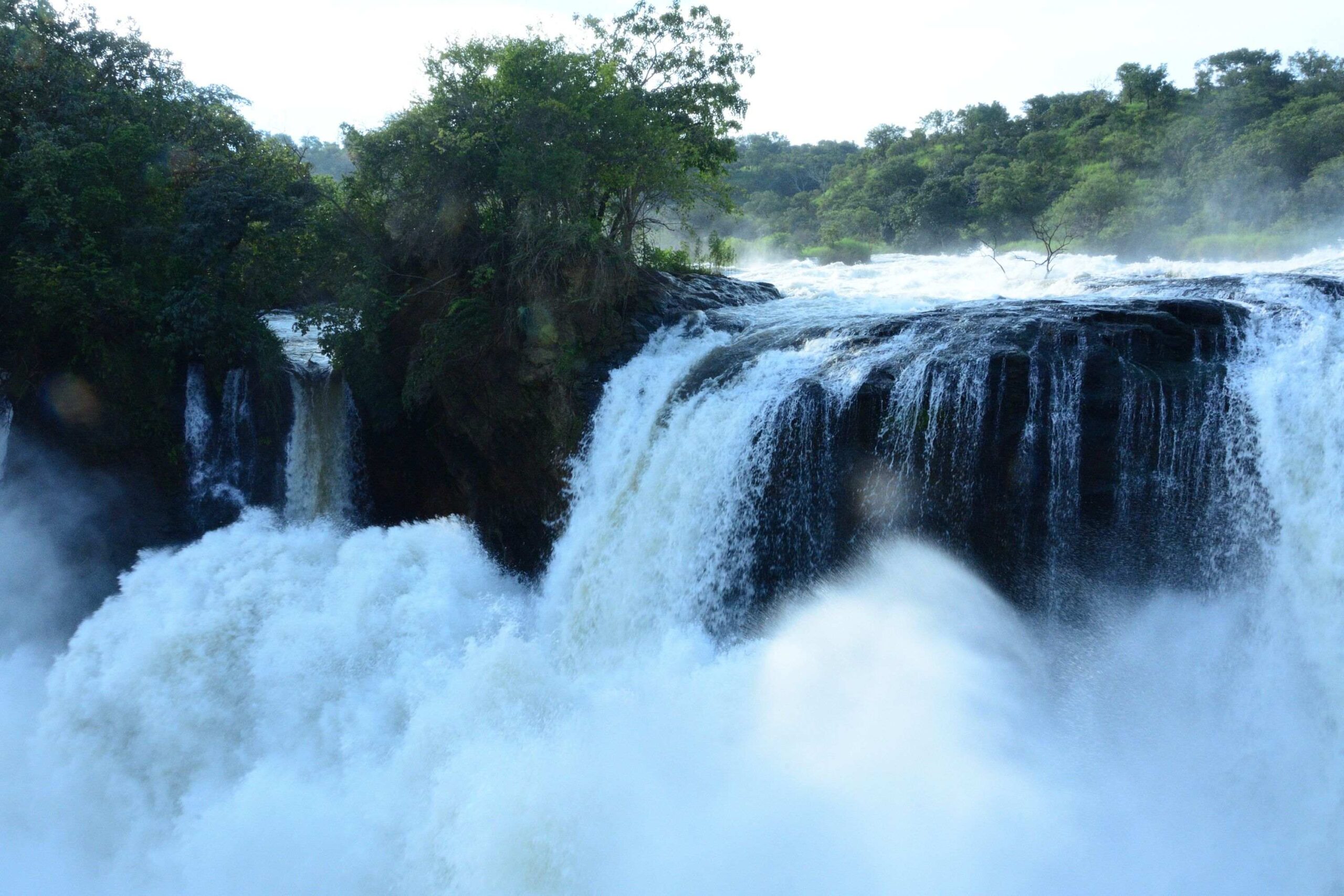 Parc national de Murchison Falls - Safari en Afrique
